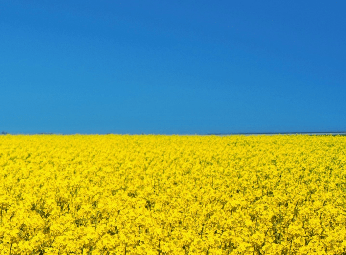 Cloud computing services by CloudFerro